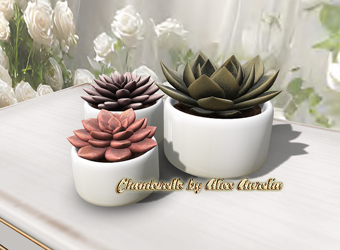 Second Life Marketplace - 8. FINCA Trio Succulent